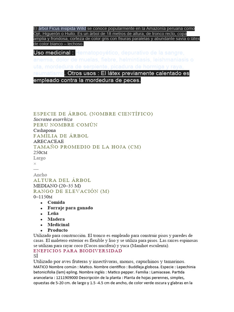 Usos medicinales del quintral de maqui | PDF | Arboles | Plantas