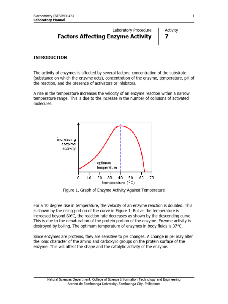 Act 7 Factors Affecting Enzymes Activity Revised 01.2024 - Edited 1 ...