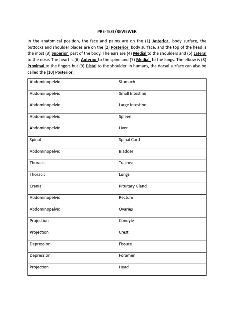 Rad Ana Phy Finals Reviewer | PDF | Vertebra | Pelvis