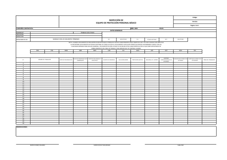 Inspección de EPP Básico 2020 | PDF