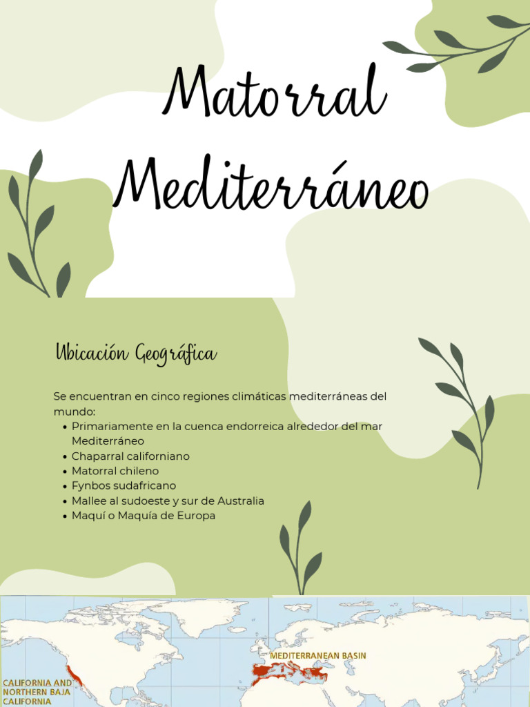 Matorral Mediterráneo | PDF