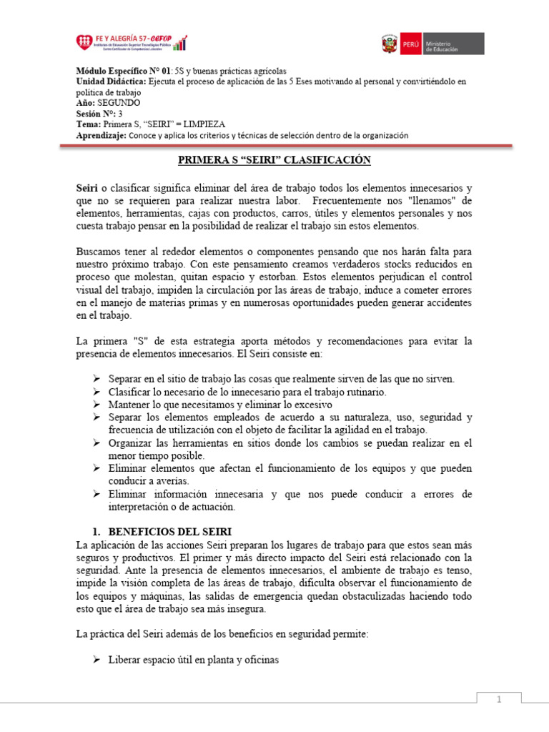 Clase 3. Primera S (SEIRI) CLASIFICAR | PDF