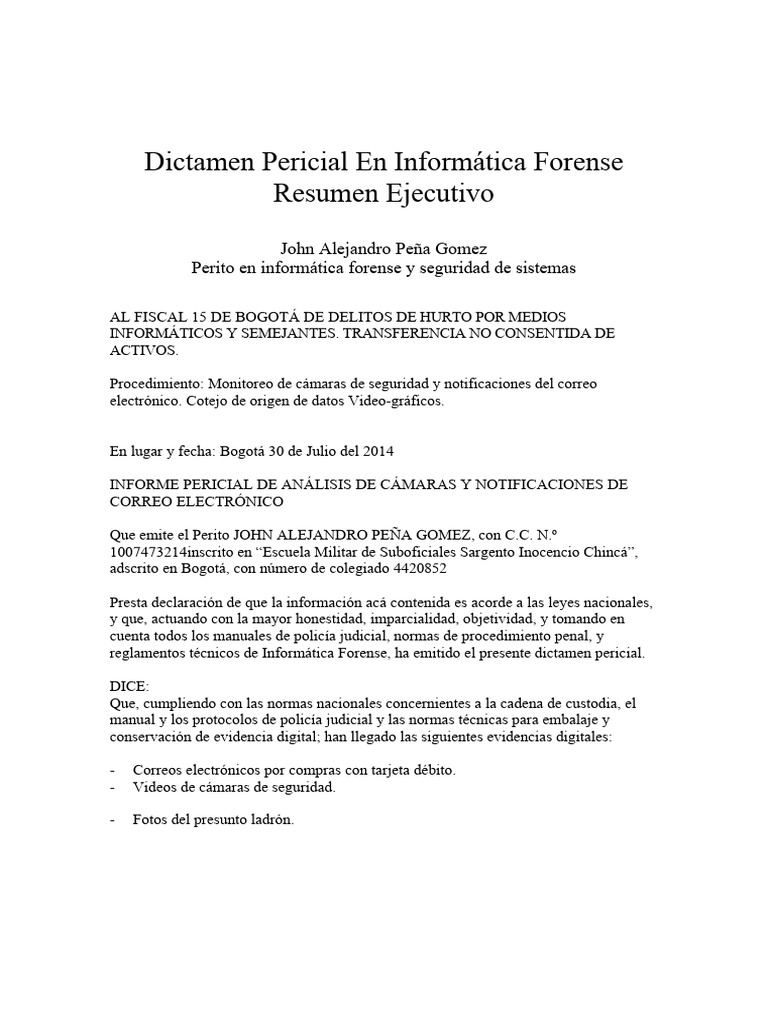 Dictamen Pericial en Informática Forense | PDF | Informática forense ...