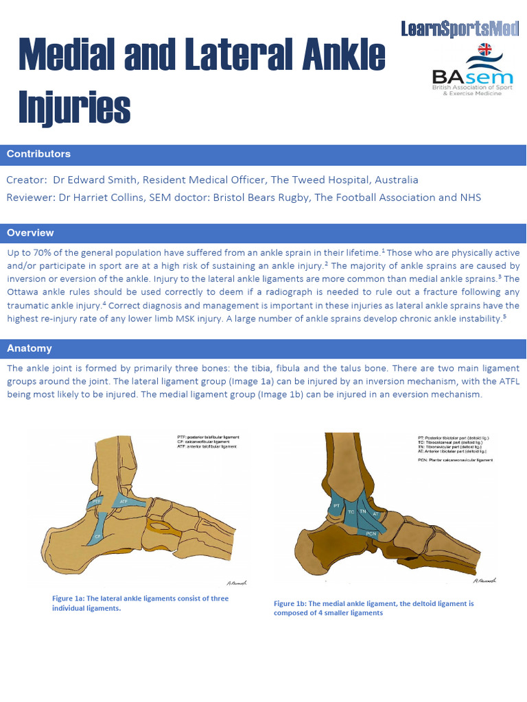 Medial and Lateral Ankle Injuries | PDF | Ankle | Musculoskeletal System