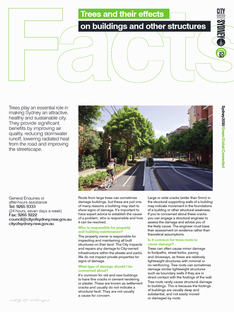 Trees and Buildings Fact Sheet | PDF | Soil | Trees