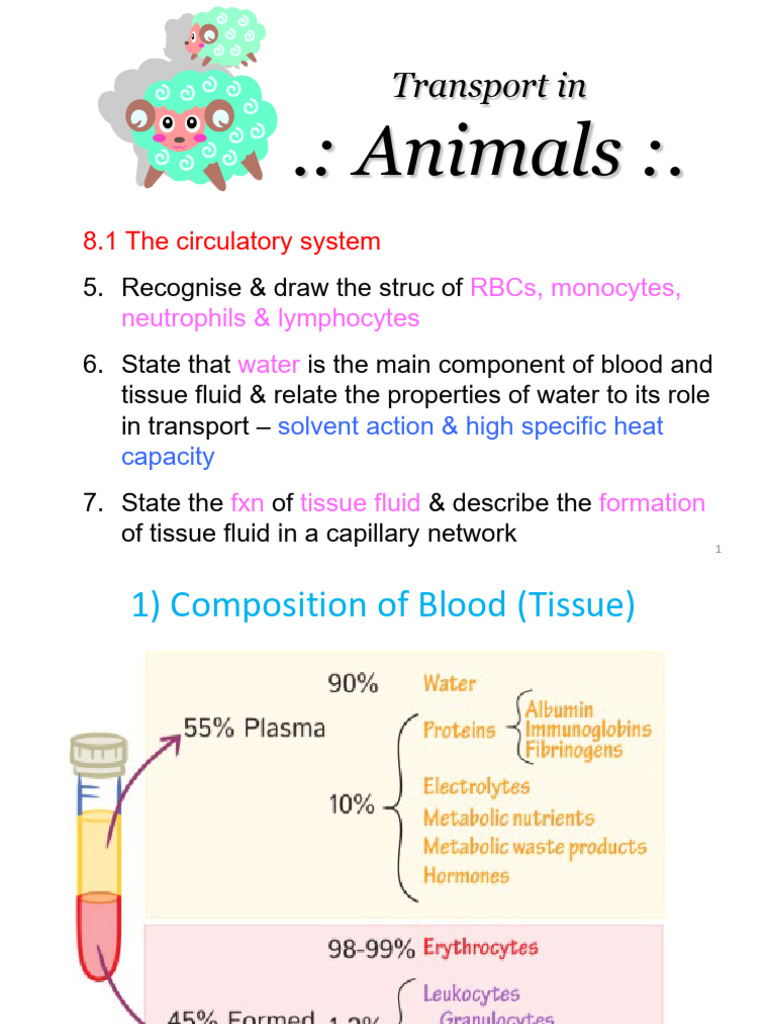 8-2 Blood Tissue Lymph (Print) 2022 Syl | PDF | Capillary | Artery