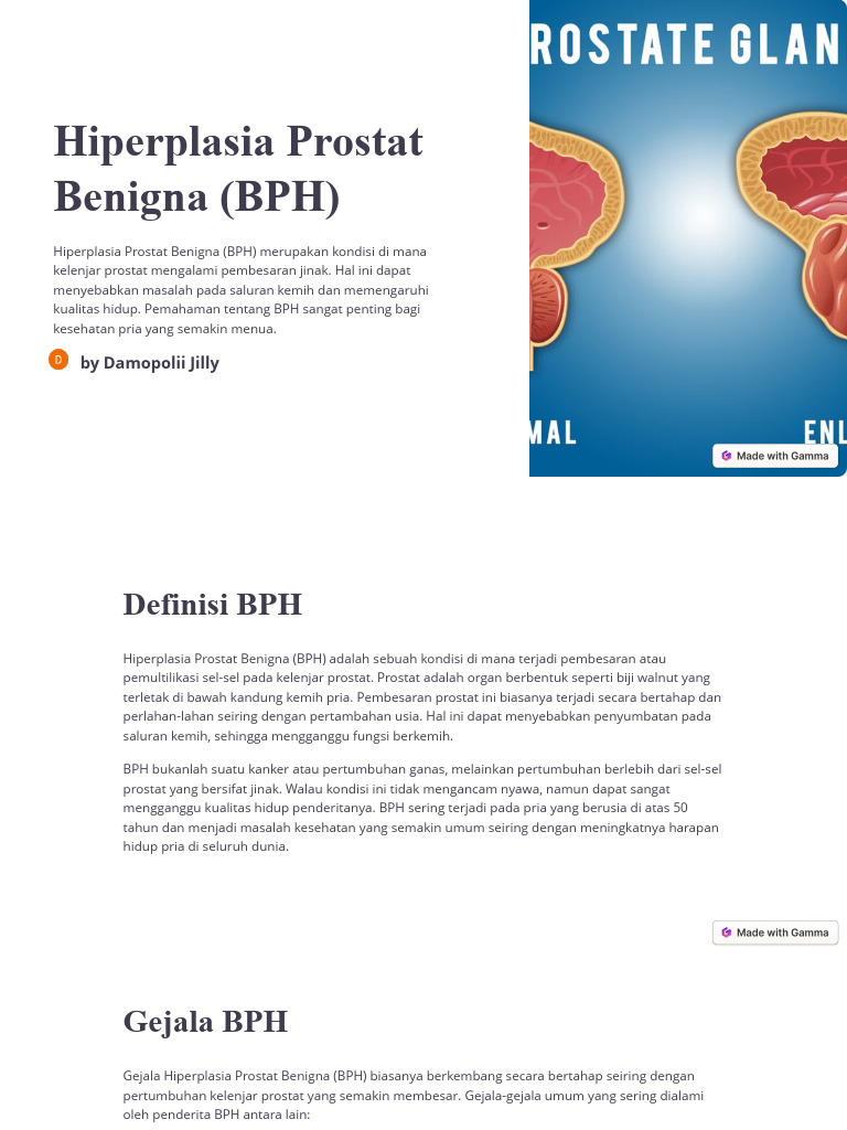 Hiperplasia Prostat Benigna BPH | PDF