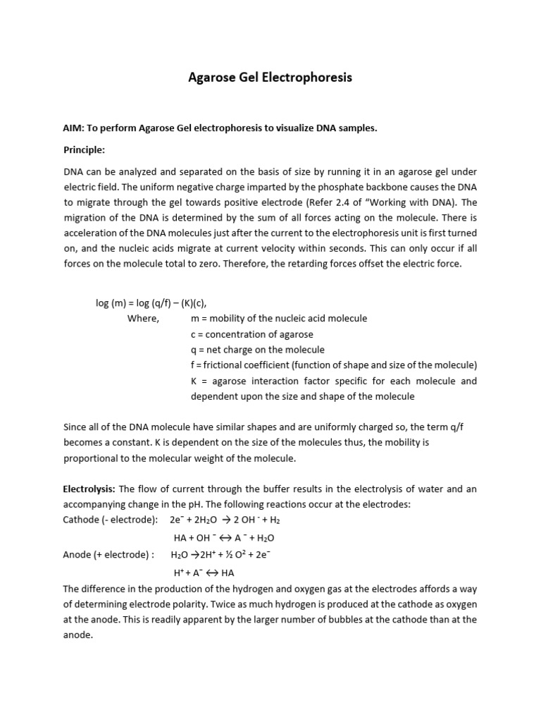 2. Agarose gel electrophoresis-1 | Download Free PDF | Agarose Gel Electrophoresis | Gel ...