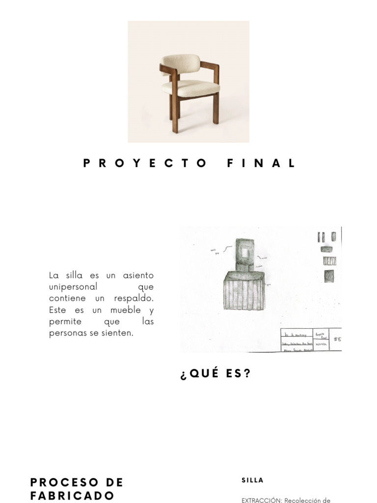 Proyecto Final | PDF