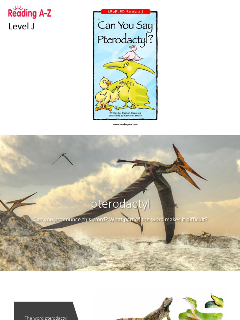 J Can You Say Pterodactyl LP | PDF