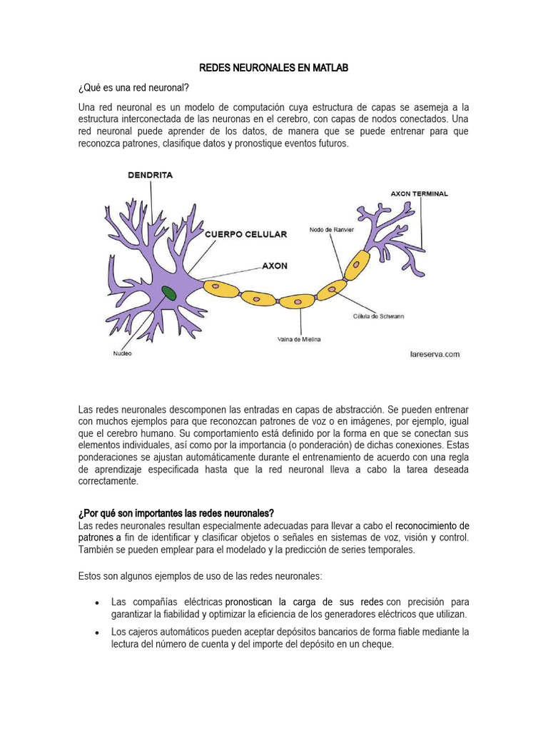 Red Neuronal en Matlab | PDF | Red neuronal artificial | Neurona