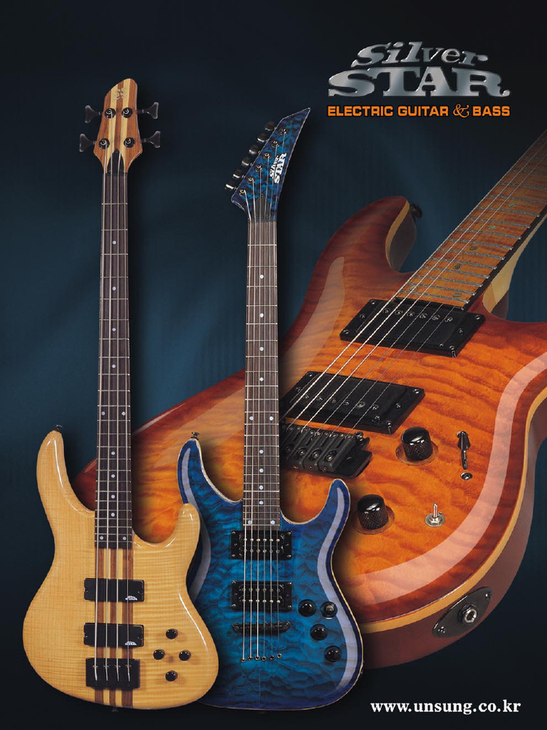 Silverstar Poster 1 | PDF