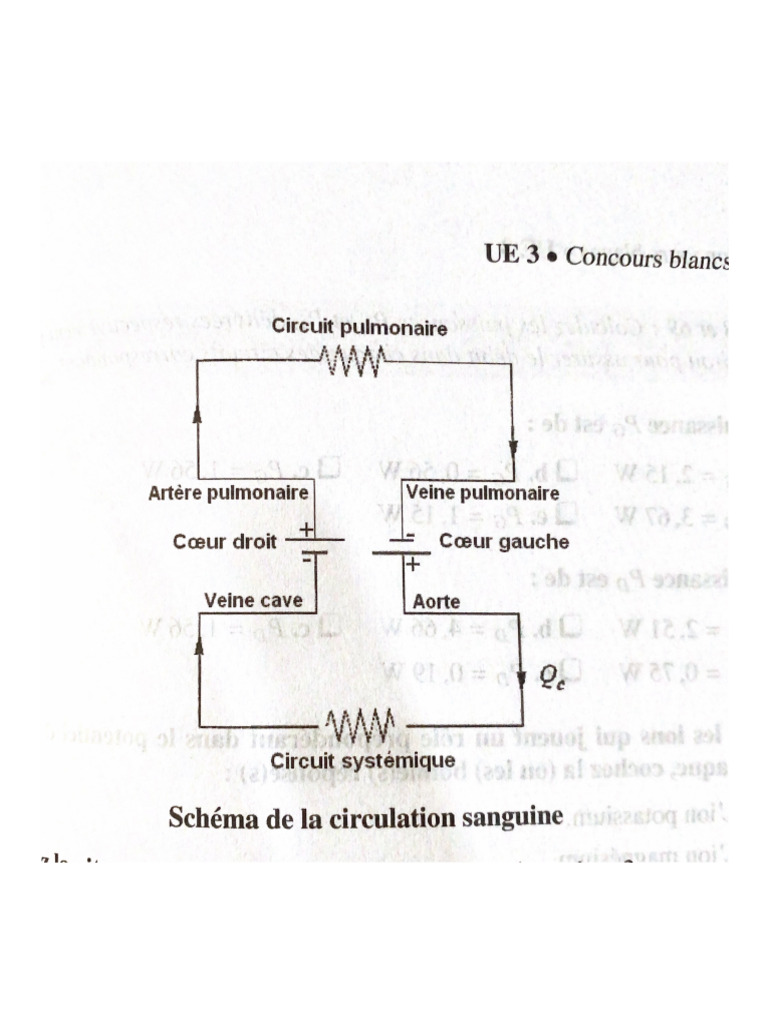 UE 3 - Concours Blanc | PDF