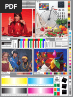 Cmyk Test Print | PDF