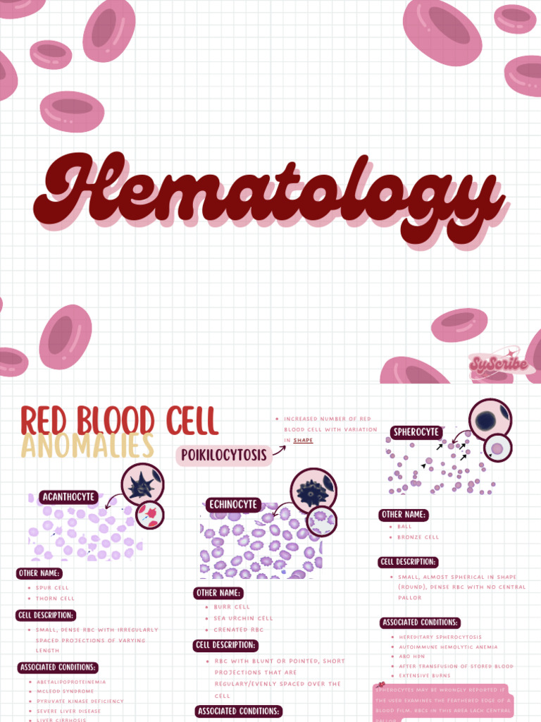 hematology | PDF | Red Blood Cell | Anemia