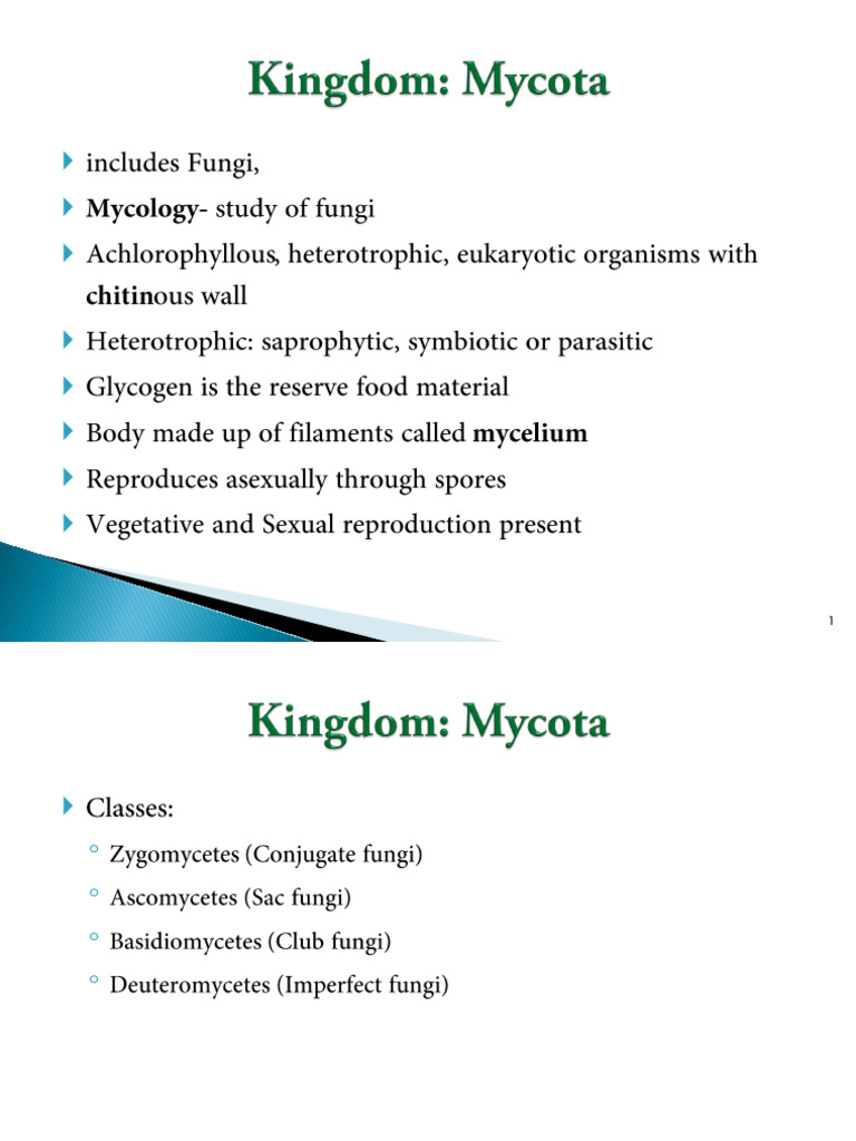 Mycota | PDF