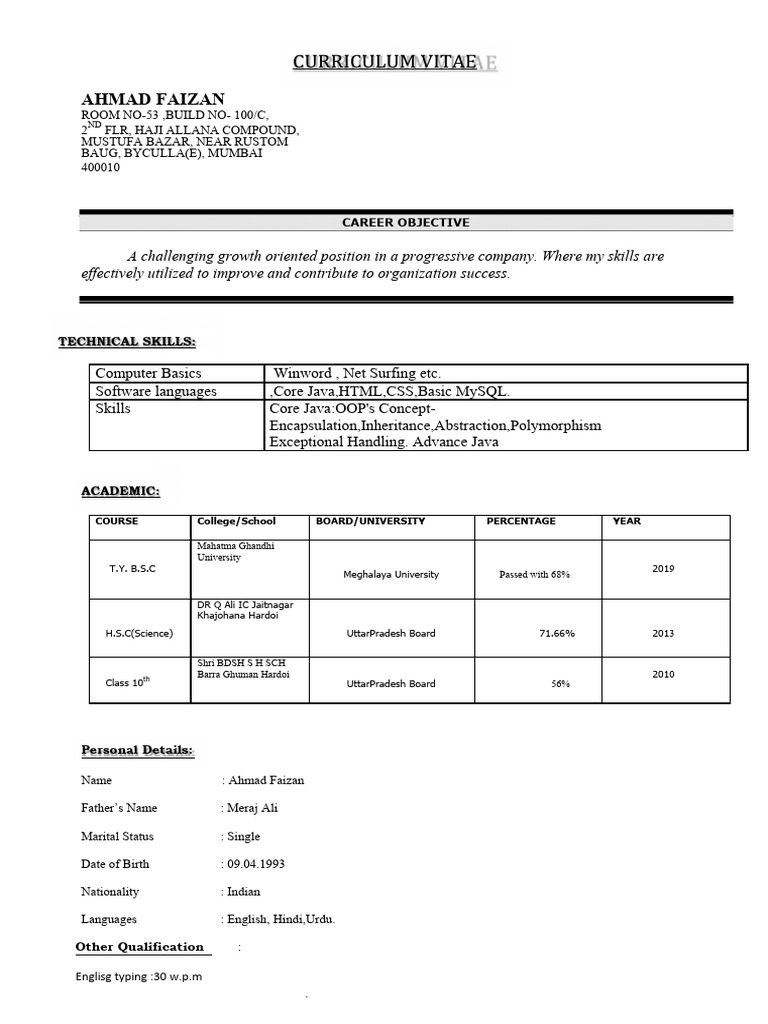 Ahmad Faizan Resume | PDF