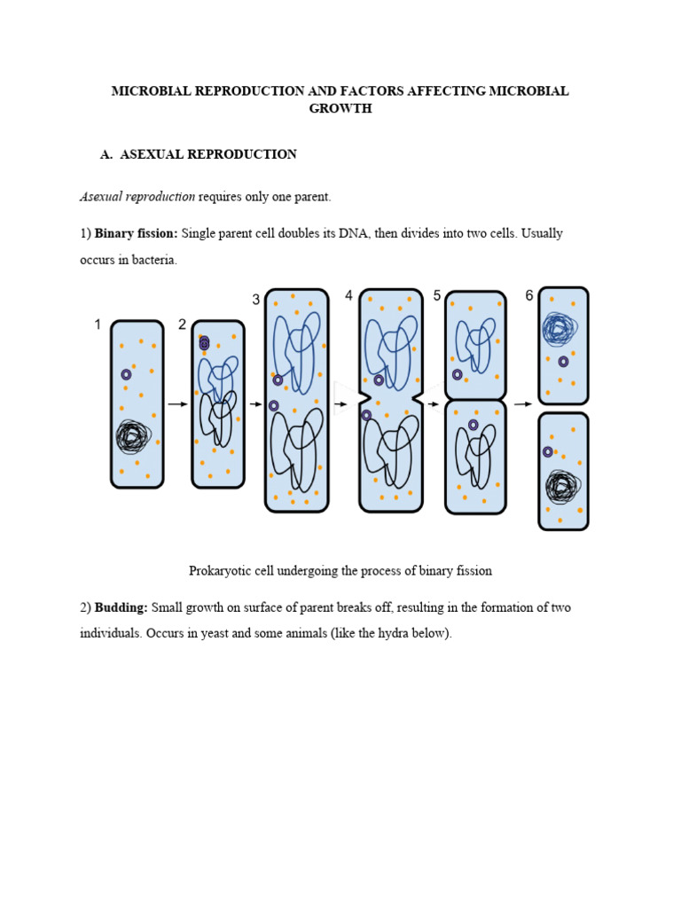 L1-Bacterial Reproduction and Factors Affecting Microbial Growth | PDF ...