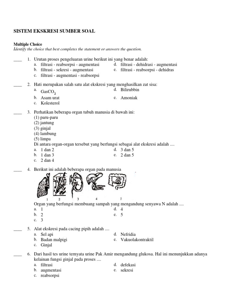Sistem Ekskresi Sumber Soal | PDF