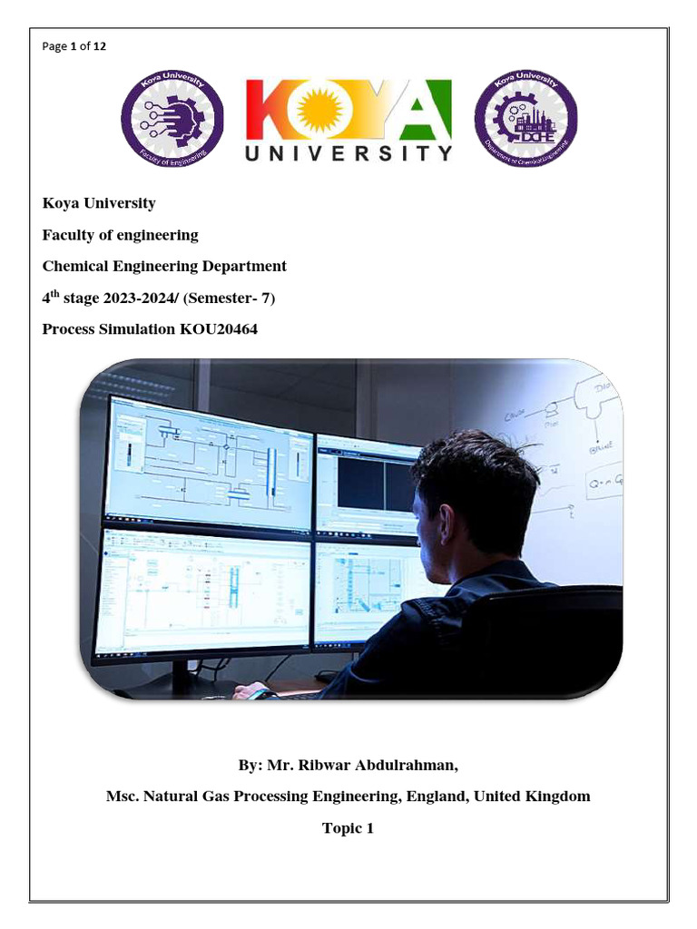 Topic 1-2 | PDF | Simulation | Mathematical Optimization