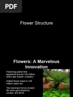 Gumamela: Structure and Reproduction | PDF | Flowers | Pollination