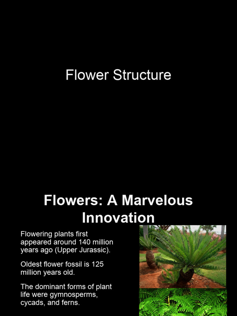 Chapter 8 (Part 1) | PDF | Flowers | Petal