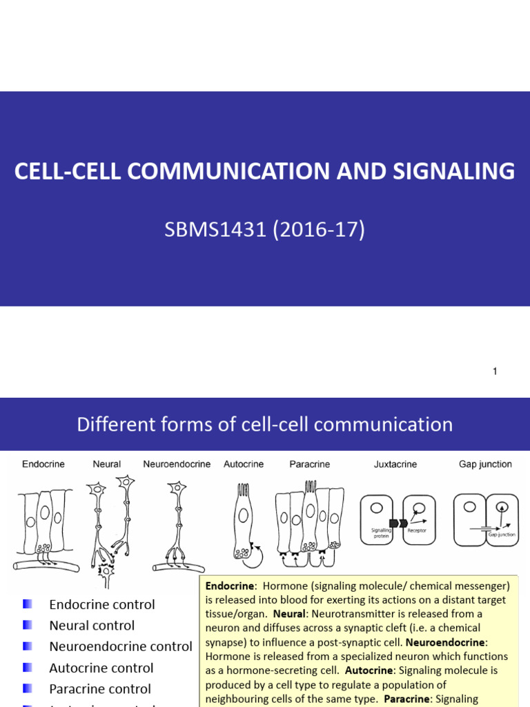 2-Cell-Cell Communication and Signalling (2016-17) | PDF | Cell ...