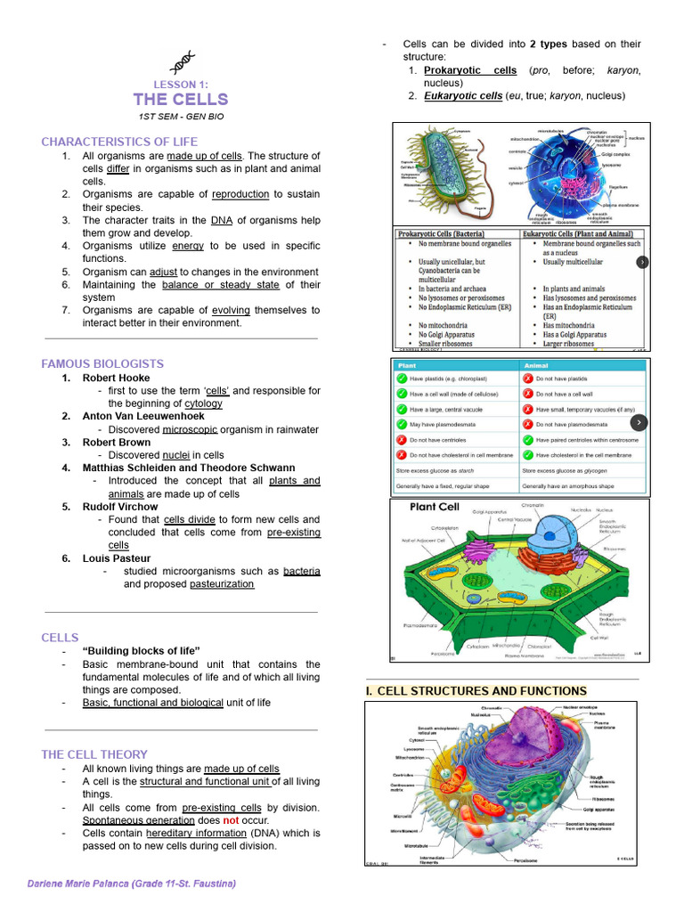 Gen Bio-1st Sem (Darlene Palanca 11sf-Stem) | PDF | Meiosis | Mitosis