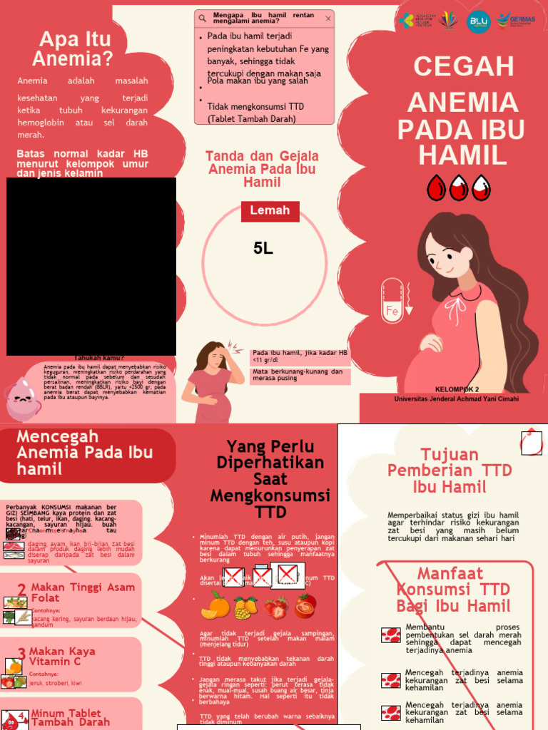 Anemia Pada Ibu Hamil | PDF | Kesehatan Holistik