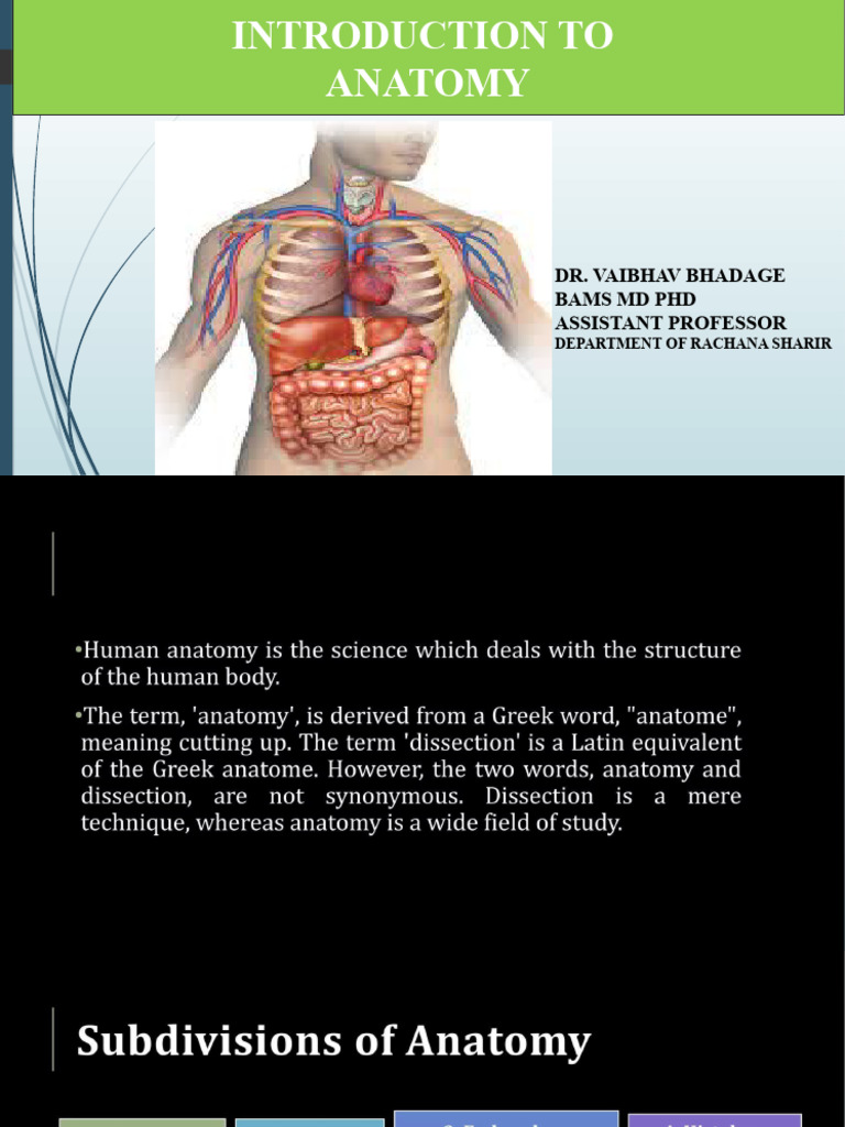 Introduction To Anatomy | PDF | Science & Mathematics