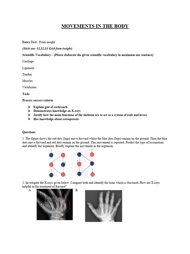 Movements of the Body Index Notes | PDF | Osteoporosis | Bone
