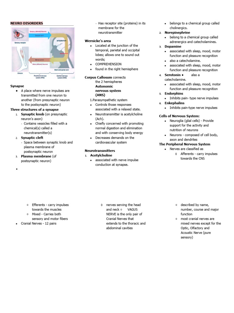ICP-Neuro-Disorder | PDF | Synapse | Neuron