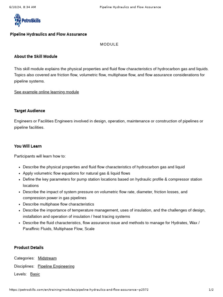 Module Pipeline Hydraulics and Flow Assurance | PDF