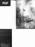 Intermitente Rafaela | PDF