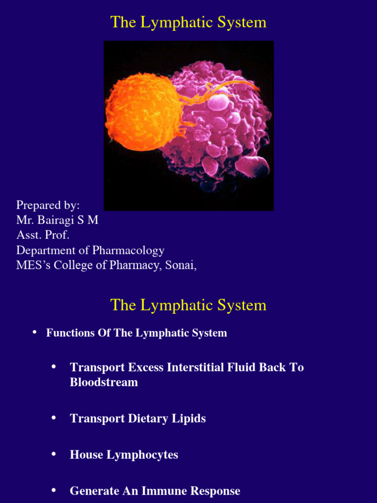 Lymphatic-system solid | PDF | Lymph | Lymphatic System