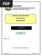 STATISTICS Grade 12 | PDF | Skewness | Quartile