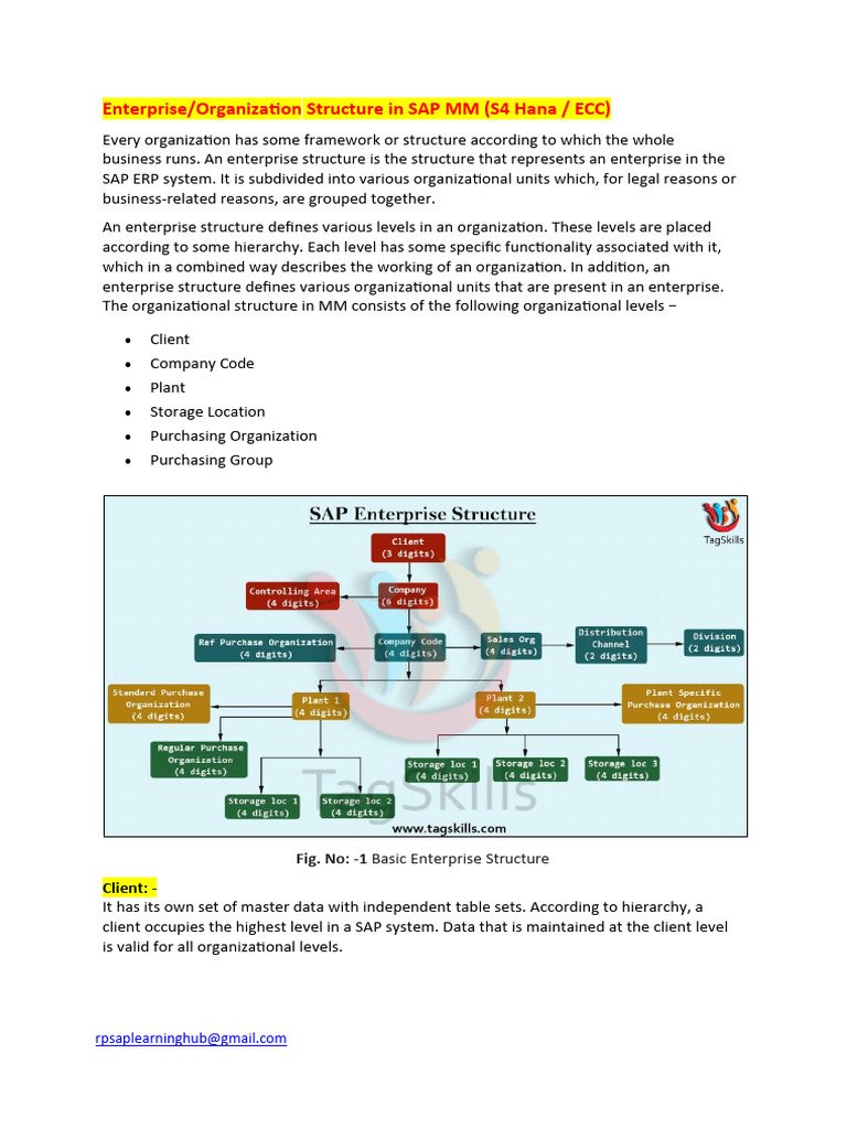 Sap Enterprise Structure Pdf Procurement Logistics