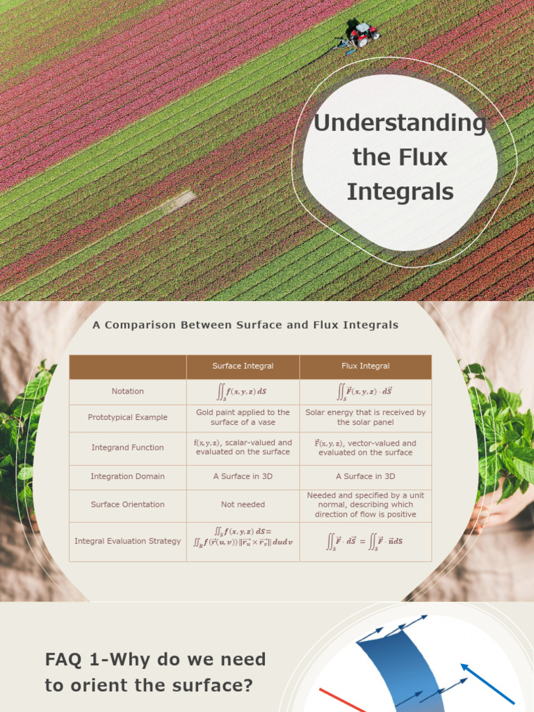 Understanding the Flux Integrals | Download Free PDF | Integral | Flux