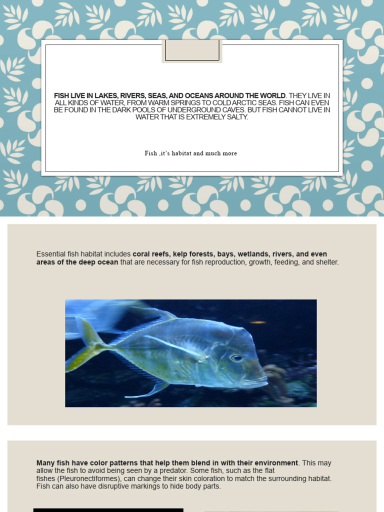 Fish Live in Lakes, Rivers, Seas Dona Sharma | PDF