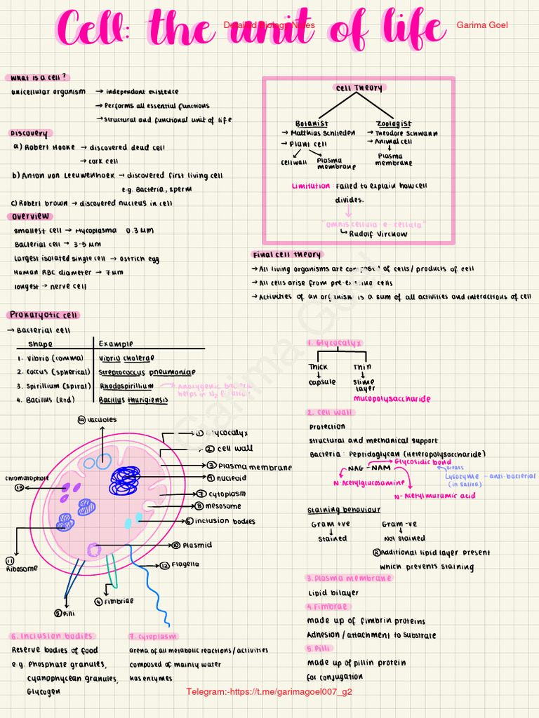 Detailed Biology Notes part 2 By Garima mam | PDF | Cell (Biology ...