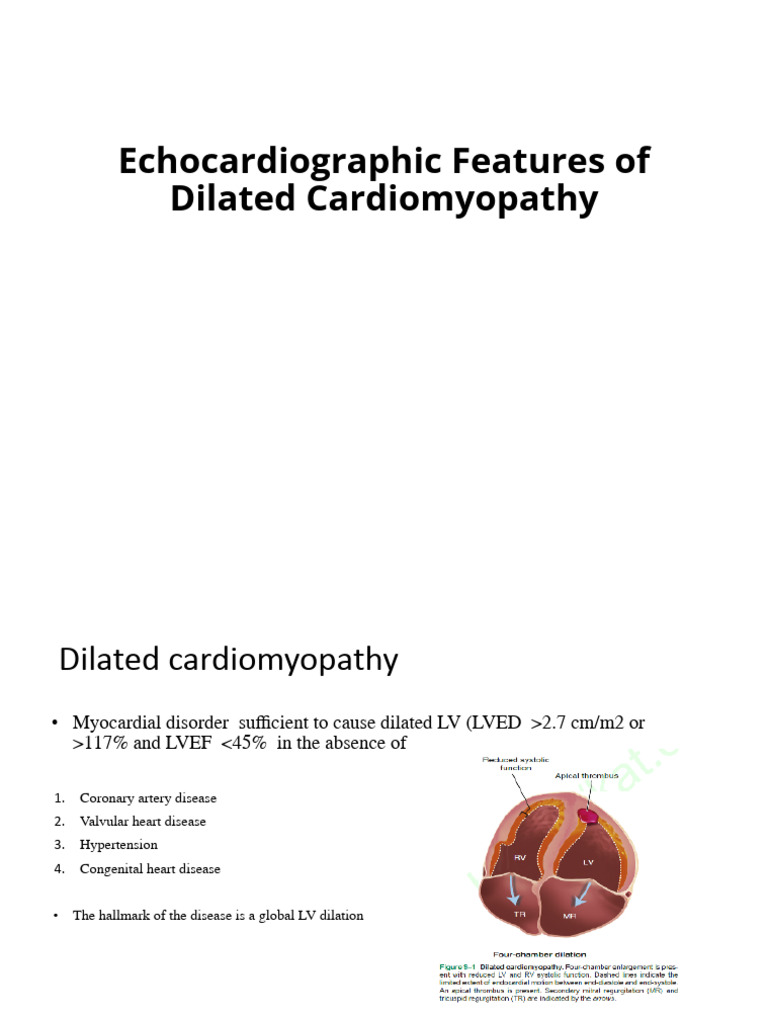 Echocardiographic Insights on DCM | PDF | Ventricle (Heart) | Ejection ...