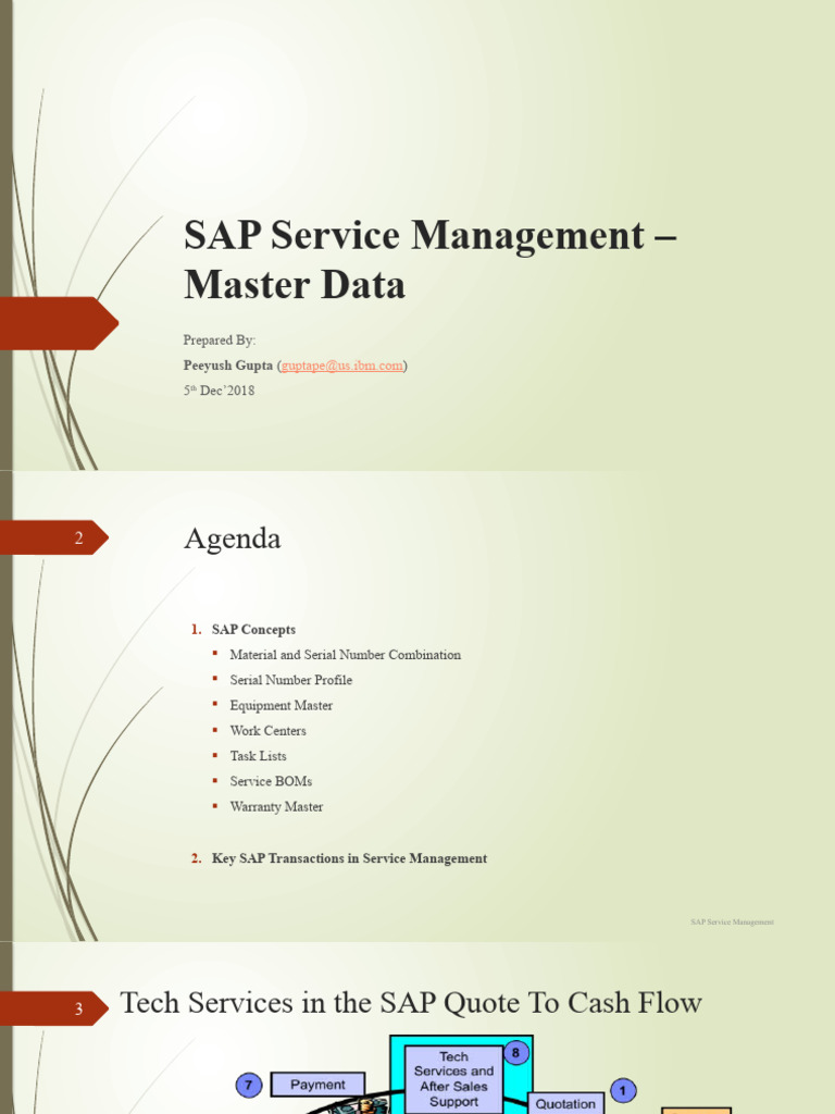 SAP Service Management Master Data | PDF | Information Technology ...
