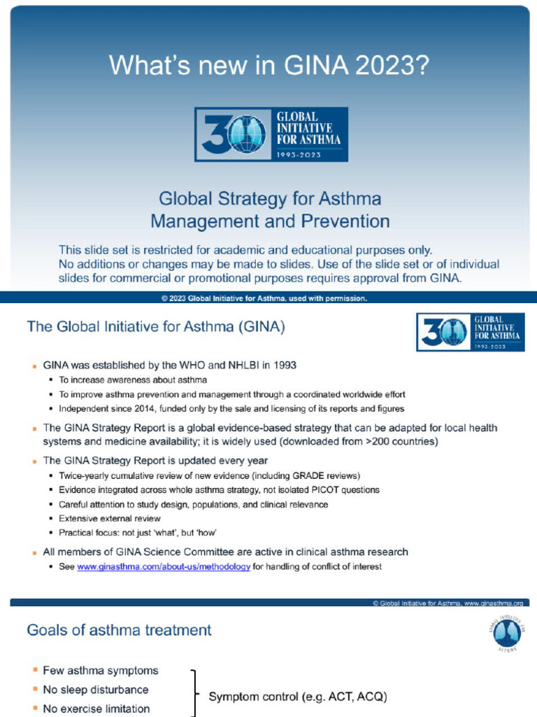 Gina 2023 Whats New Slides Website | PDF