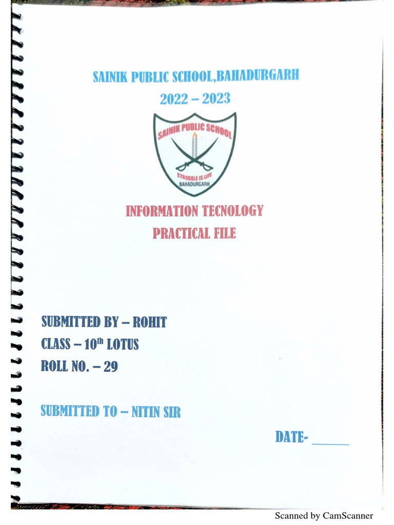 Class-10th IT Practical File | PDF