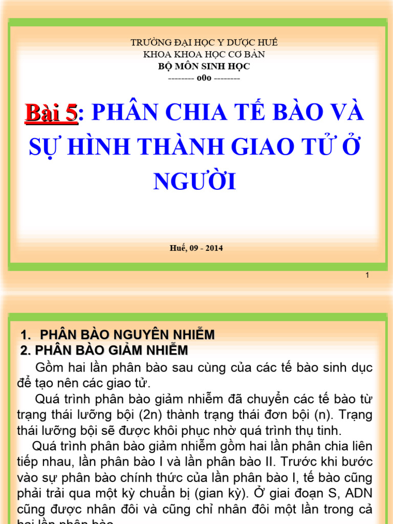 Sinh Hoc Te Bao Bai 5tt | PDF