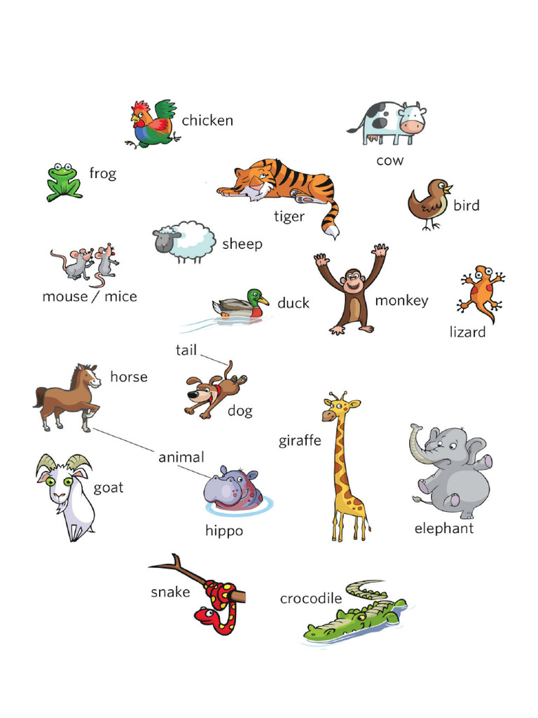 Animals | PDF