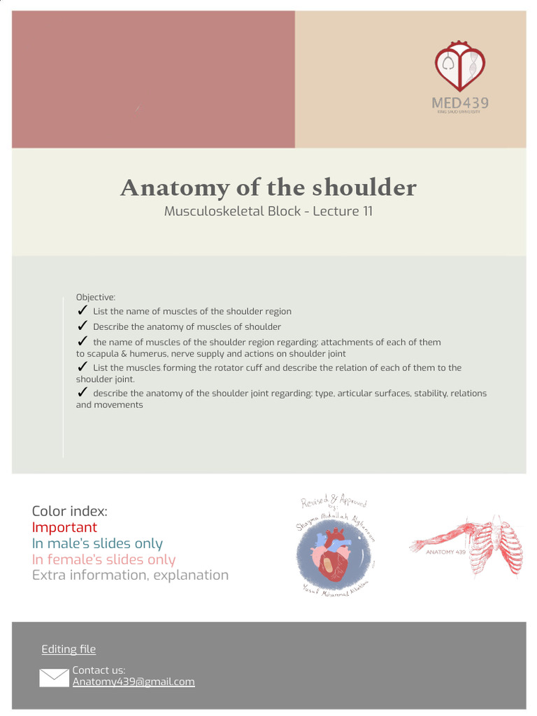 Anatomy of The Shoulder | PDF | Shoulder | Limbs (Anatomy)