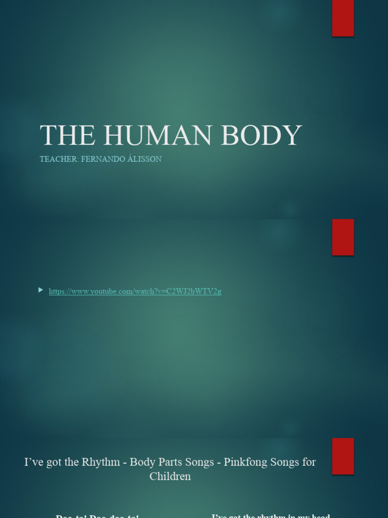 The Human Body | PDF | Hand | Human Anatomy