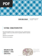 Sensibilidad somestésica y visceral | PDF | Dolor | Sistema somatosensorial