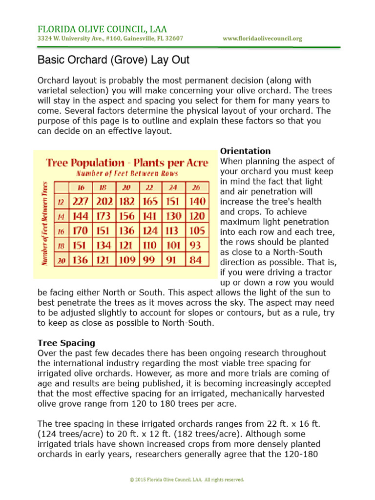 FOC Guide To Grove Design | PDF | Olive | Orchard